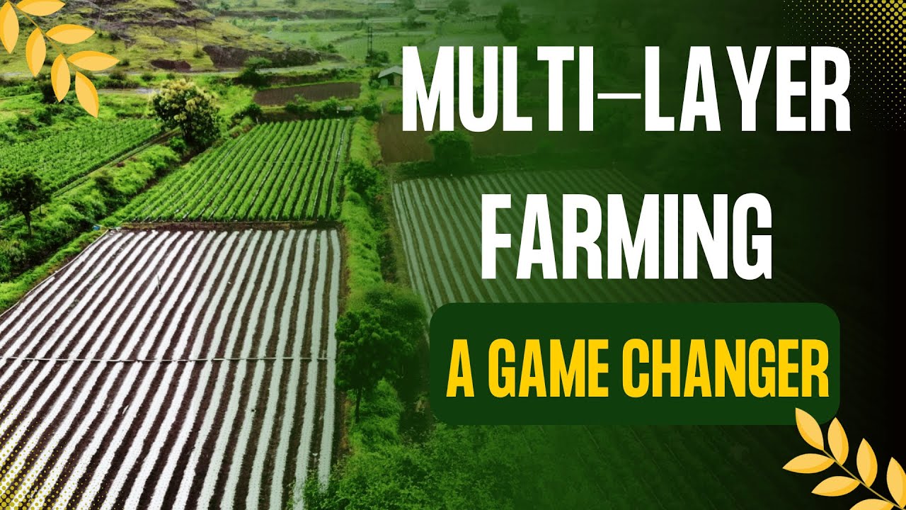 Multi Layer Farming – A Game Changer! - YouTube