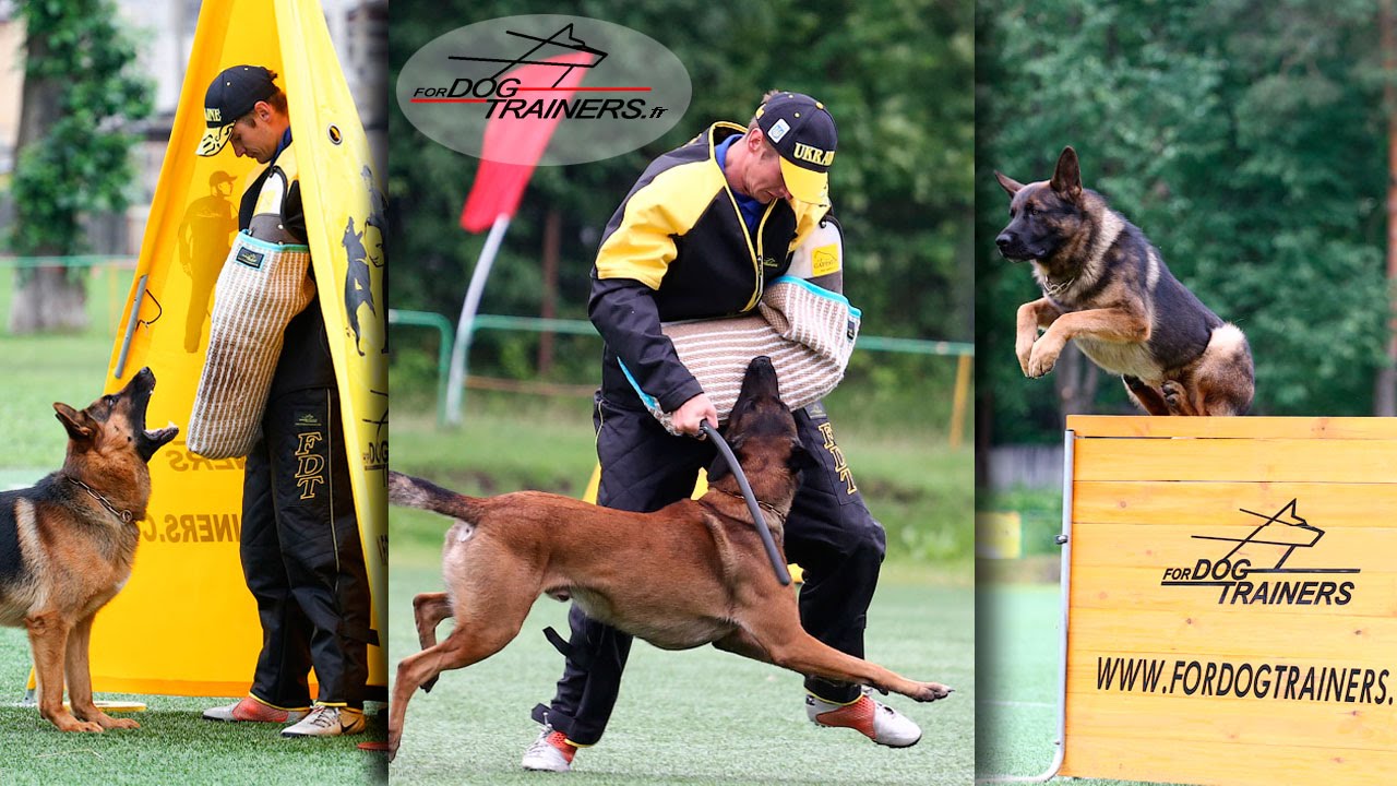 DOG-e-walk appareil anti-traction à ultrason pour chiens - US1 et US2 ...