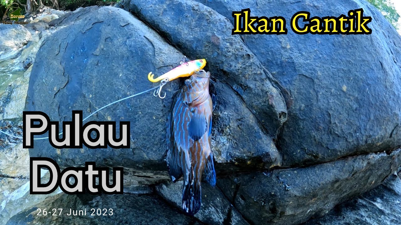 IKAN CANTIK PULAU DATU - YouTube