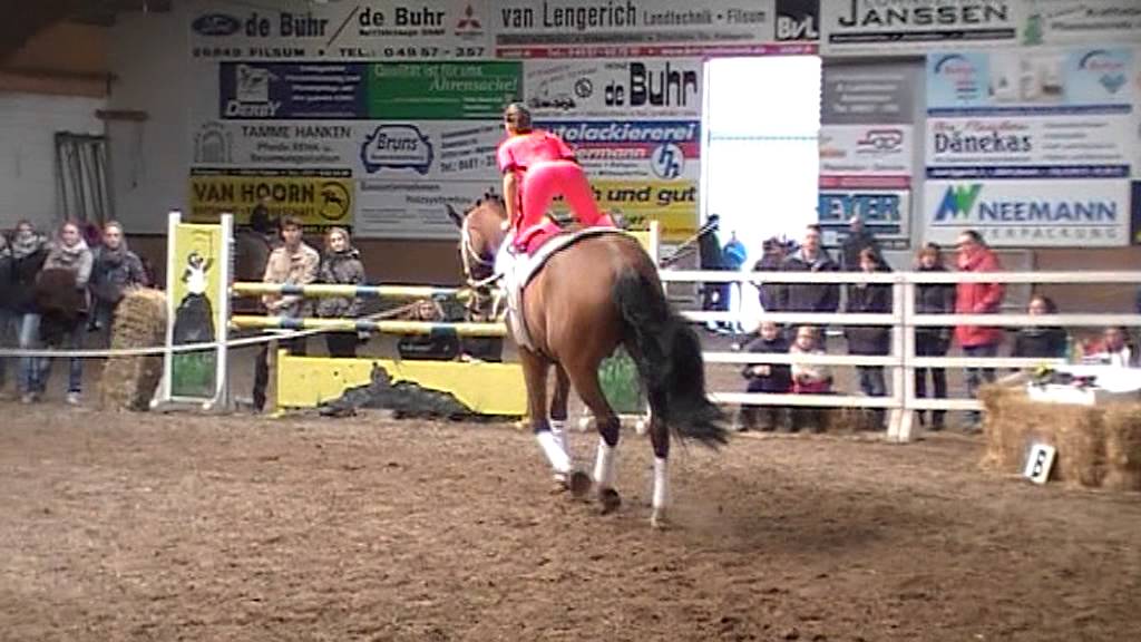 Pflichtstart S-Team Gut Stockum auf dem Voltigierturnier in Filsum ...