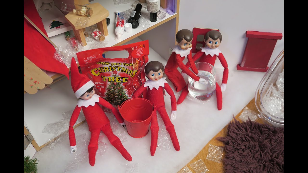 Elf on the shelf grow a Christmas tree - YouTube