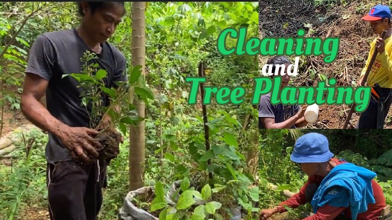 Cleaning And Tree Planting At The Farm - YouTube
