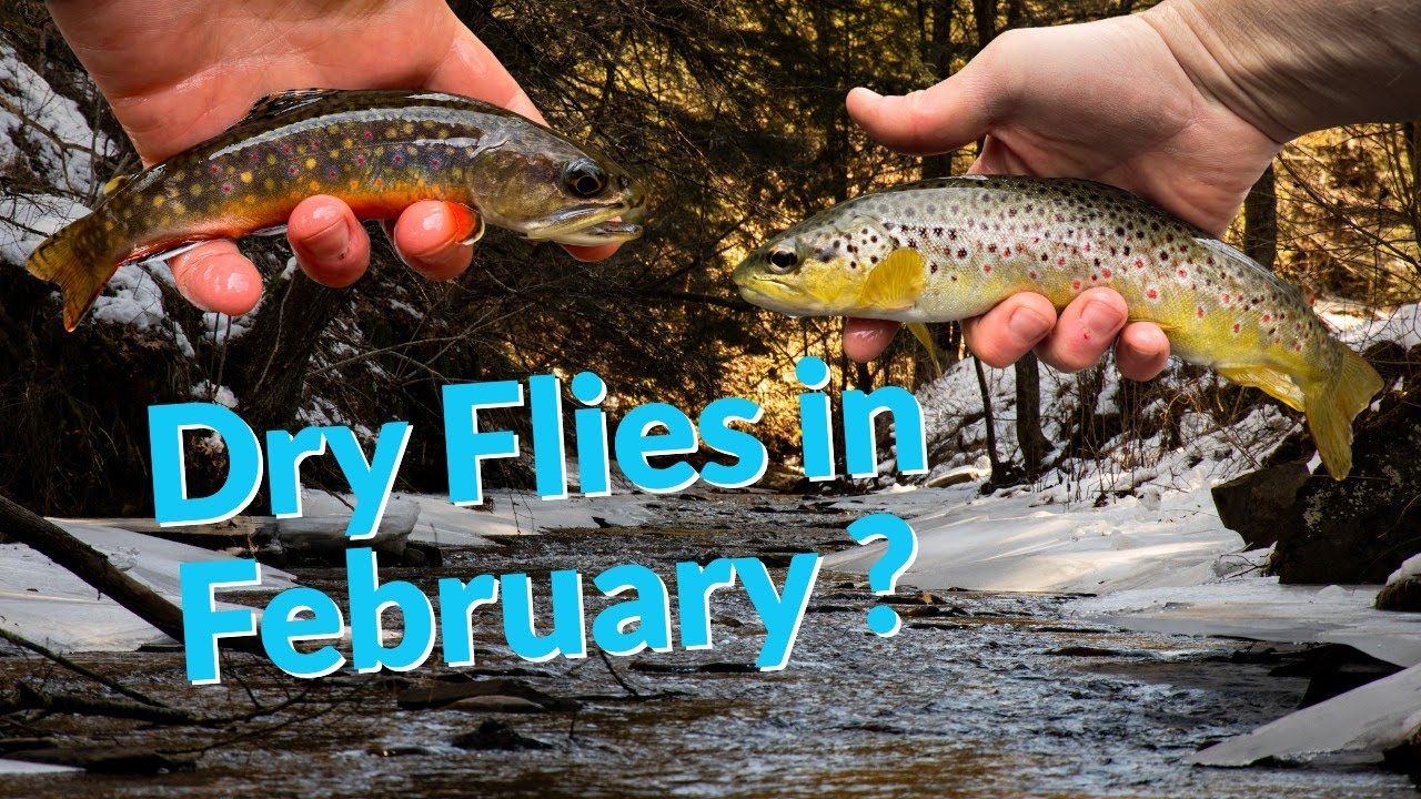 Dry Fly Bite in Febuary !?!? / "Breaking the ICE" Fly Fishing Central ...