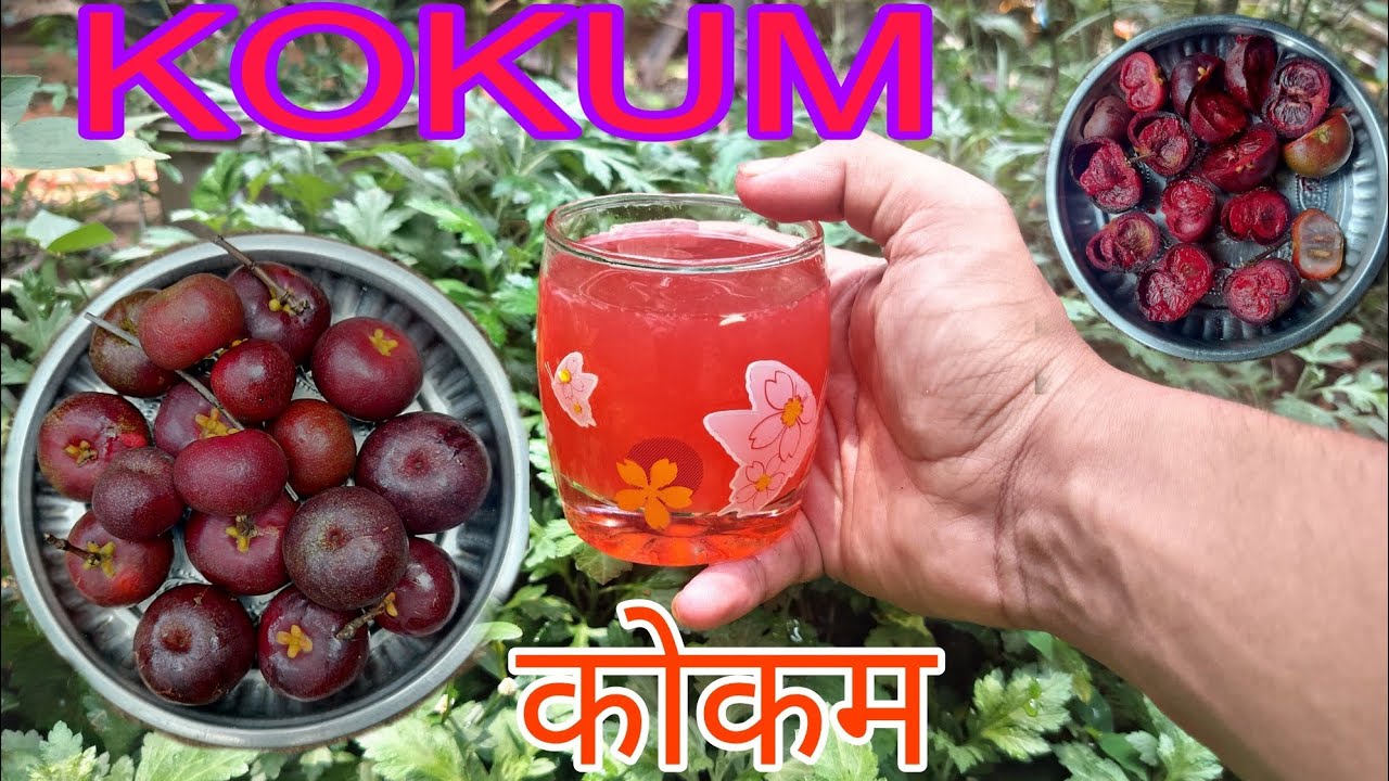 Making Of Kokum(Amsul)Sola|Making Of Bhinda Sola(सोला)|आमसुल बनवण्याची ...