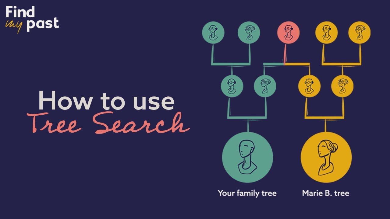 How to find new ancestors with Tree Search | Findmypast - YouTube