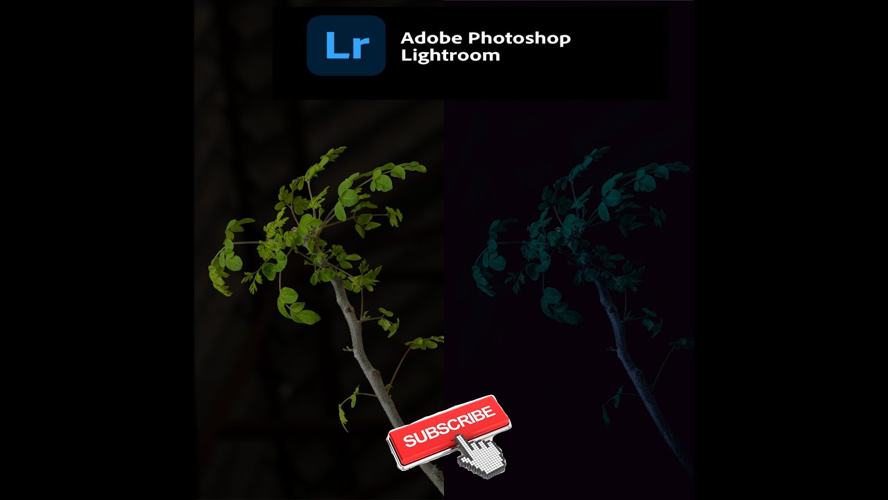 Lr app editing in mobile / Lightroom presets/ subscribe YouTube channel ...