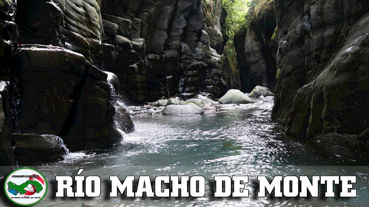 CONOCOCIENDO RÍO MACHO DE MONTE, CHIRIQUÍ, PANAMÁ - YouTube