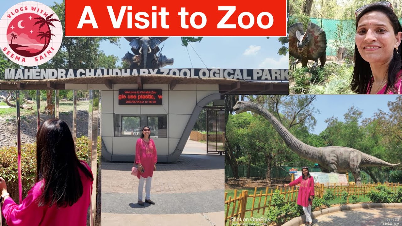 A Visit to Zoo | Wildlife | Chhatbir Zoo | Chandigarh | Dinosaurs | All ...