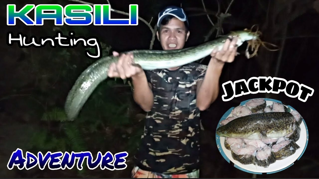 Pangha-Hunting ng KASILI, IGAT, PALOS or EEL | Fishing Adventure ...