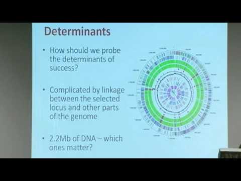 Bill Hanage: Determinants of Strain Success - YouTube