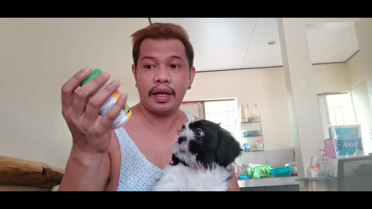 Gamot Para sa Nagtatae, Nagsusuka At Nanghihina na Aso or Tuta # ...