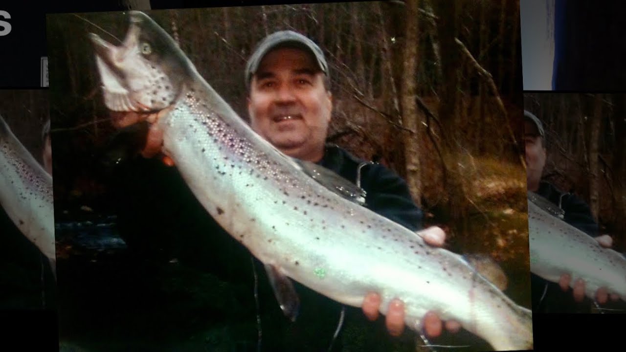 ed catches nice atlantic salmon in connecticut stream - YouTube