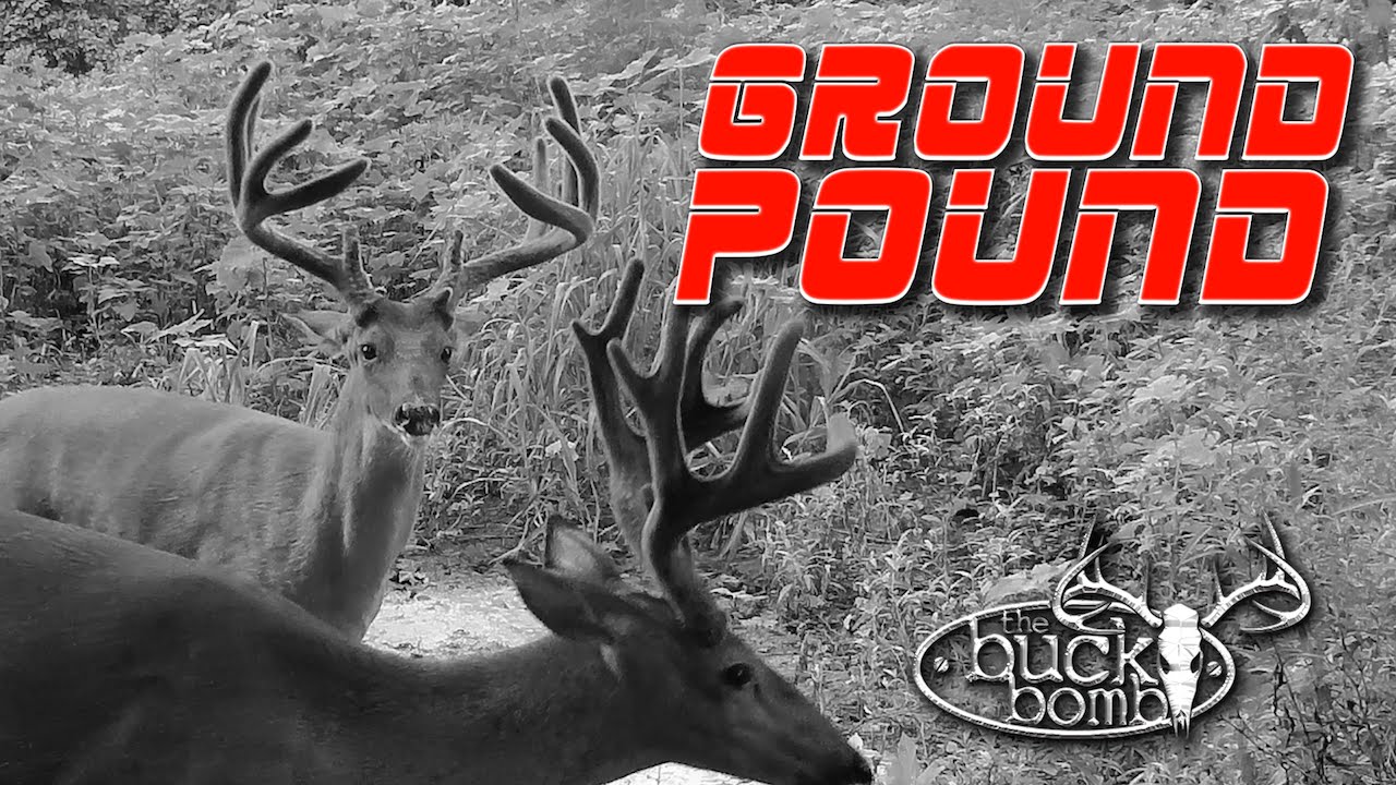 Buck Bomb Ground Pound Video - The Ultimate Trail Mix for Deer! - YouTube