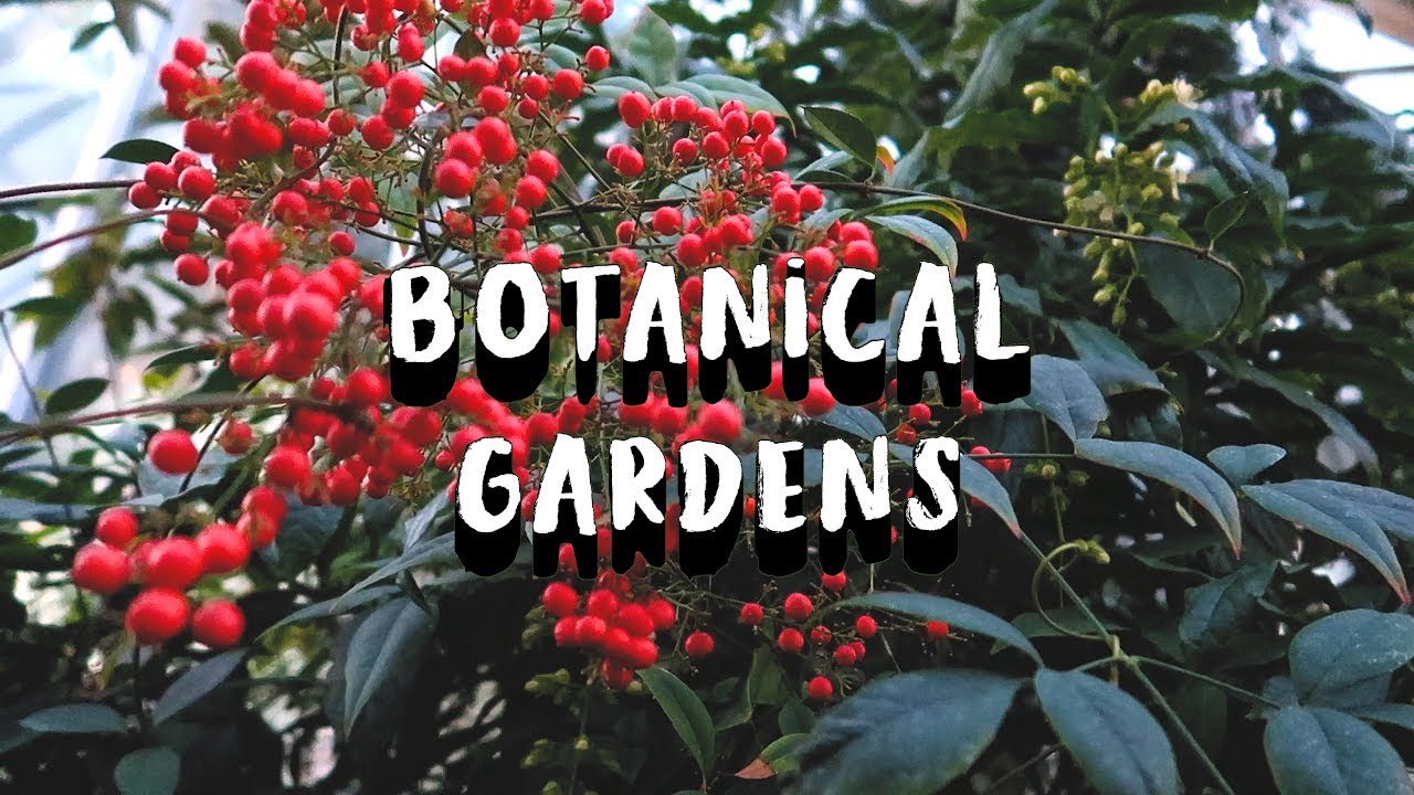 Botanical Gardens | Marz Vlog - YouTube