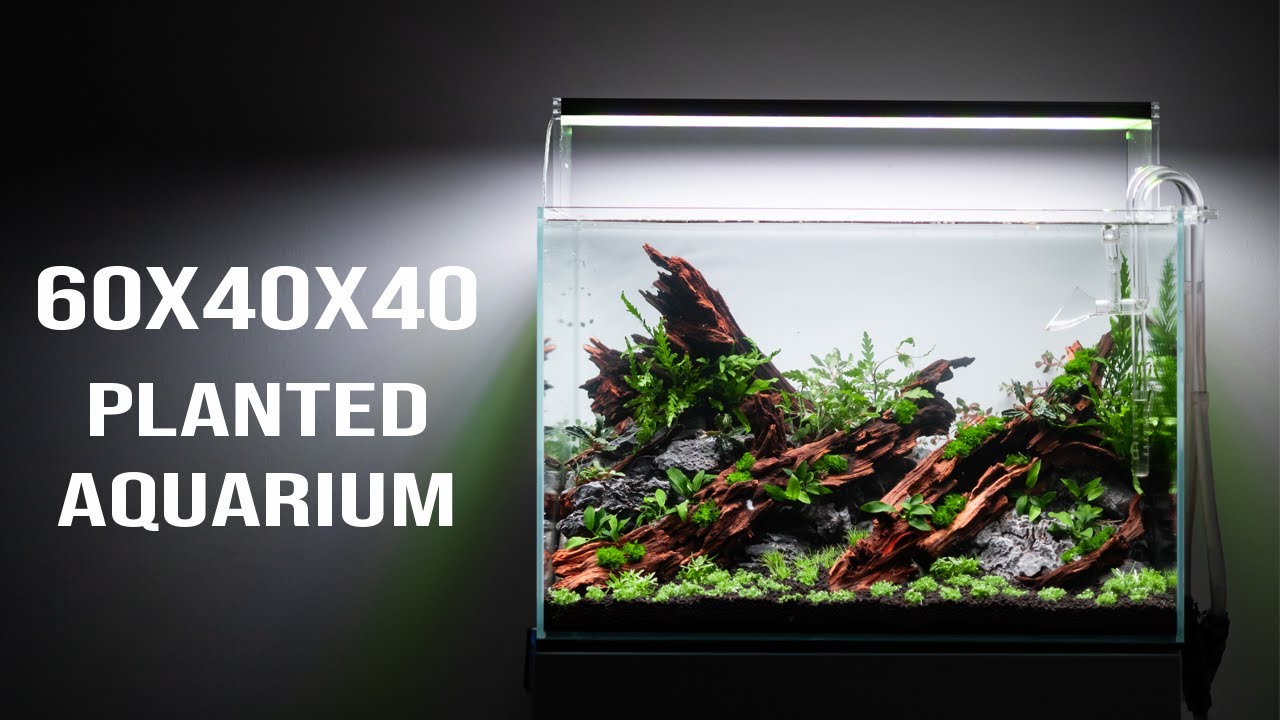 SETTING UP A HIGH-TECH PLANTED AQUARIUM | 60x40x40CM - YouTube