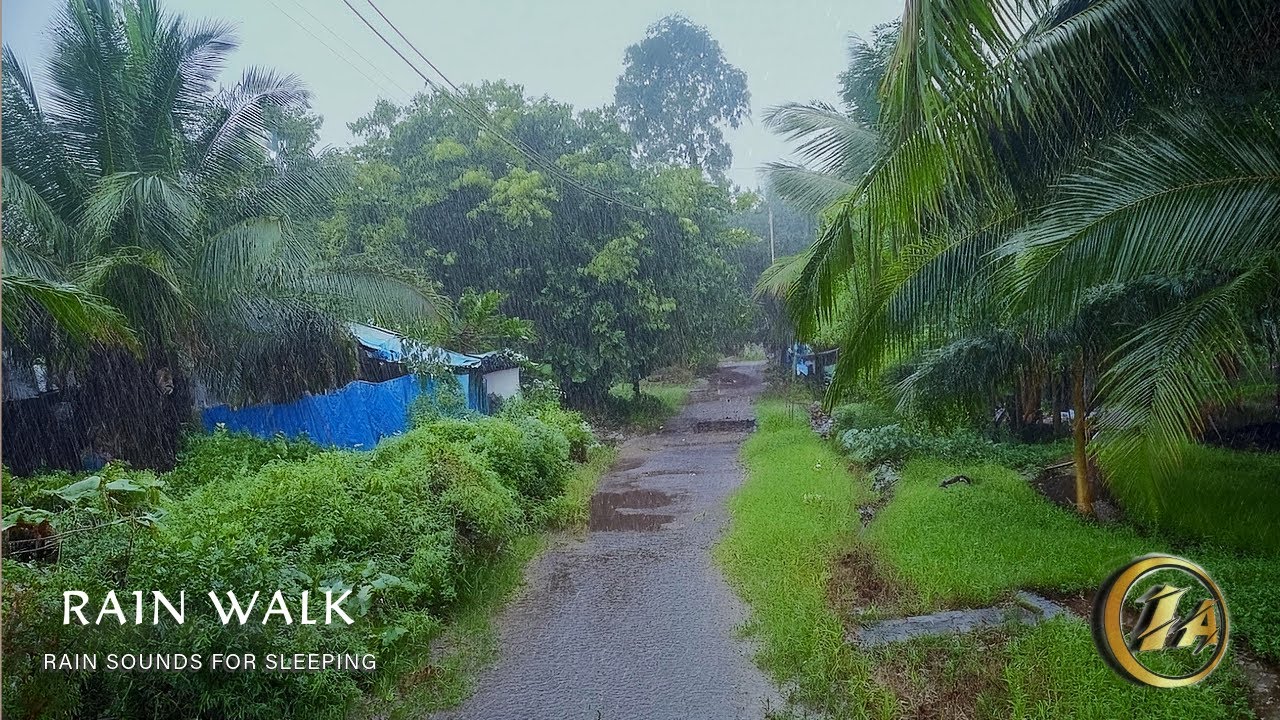 Relaxing Walk in Rain | ASMR Rain Sound for Focus or Deep Sleep | 3 ...