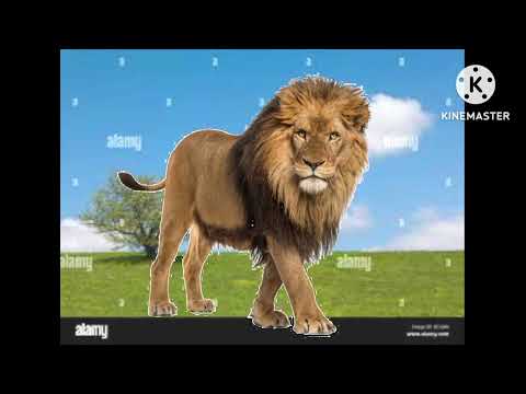 bear and Lion Teletubbies edited sketch