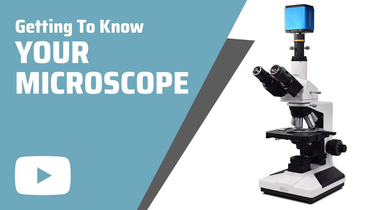 Getting To Know Your Microscope - YouTube