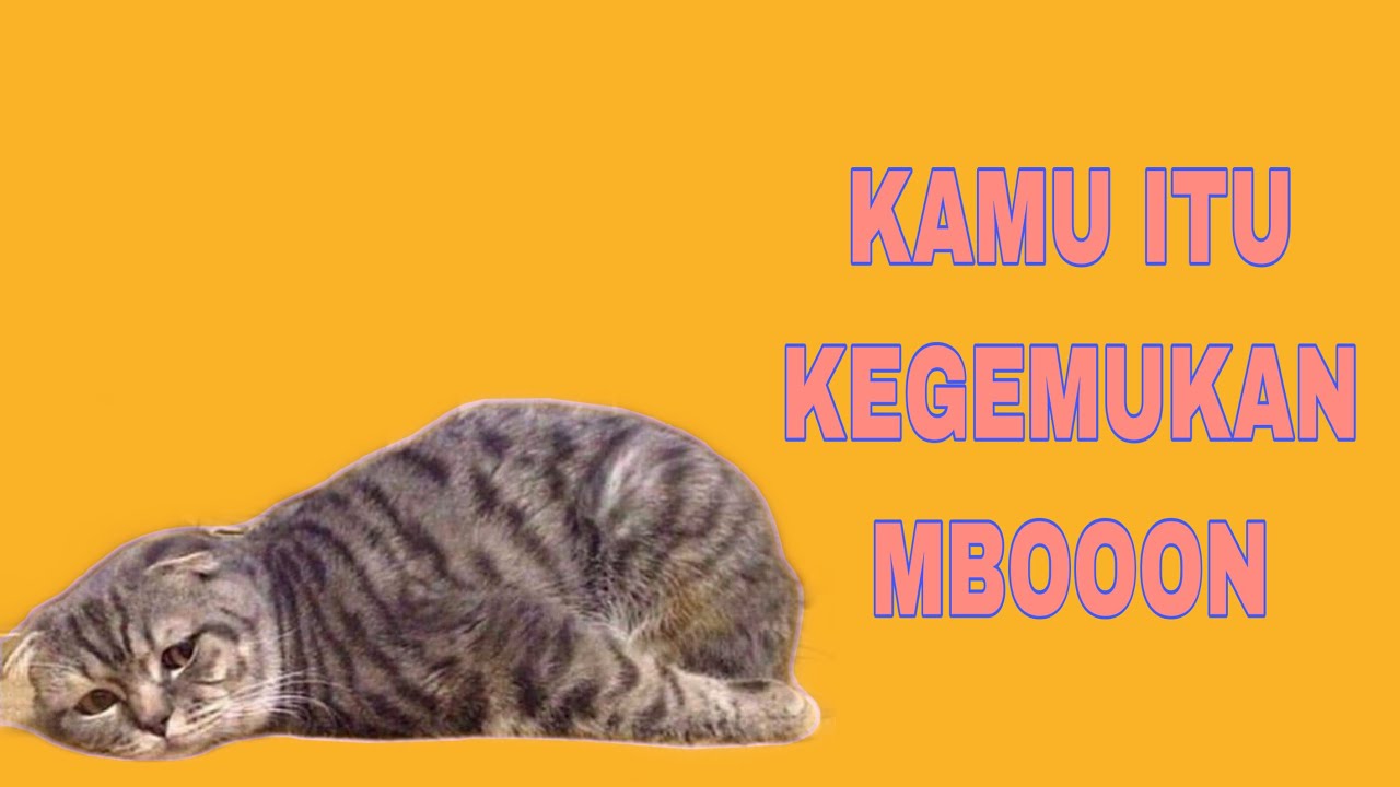 JIMBON Bete Sama DIKTA Karena di Ejek Ga Bisa Ambil Barang di Meja 🤭🤣 ...