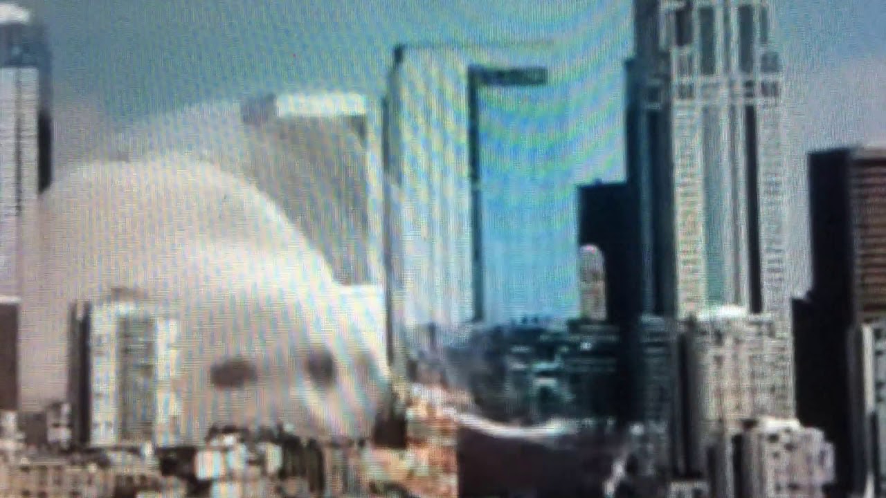 Dancing Seals (What a laugh able meme) - YouTube