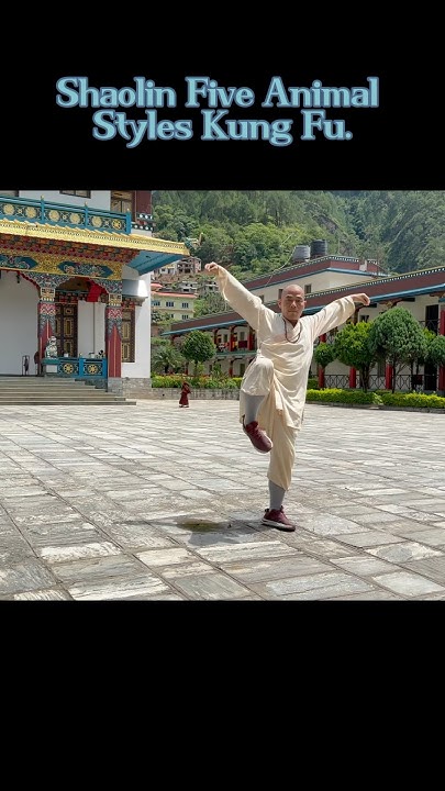 Five Animal Styles of Shaolin Kung Fu - YouTube
