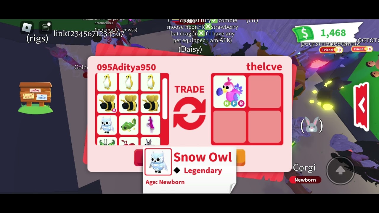 Wfl I got nfr dodo in adopt me | robox - YouTube