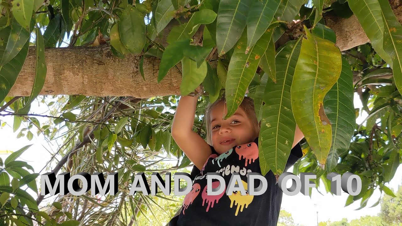 MANGO TREE PULL UP MOVIE NIGHT AND MORE 24 HOURS WITH 10 KIDS UNDER 15 ...