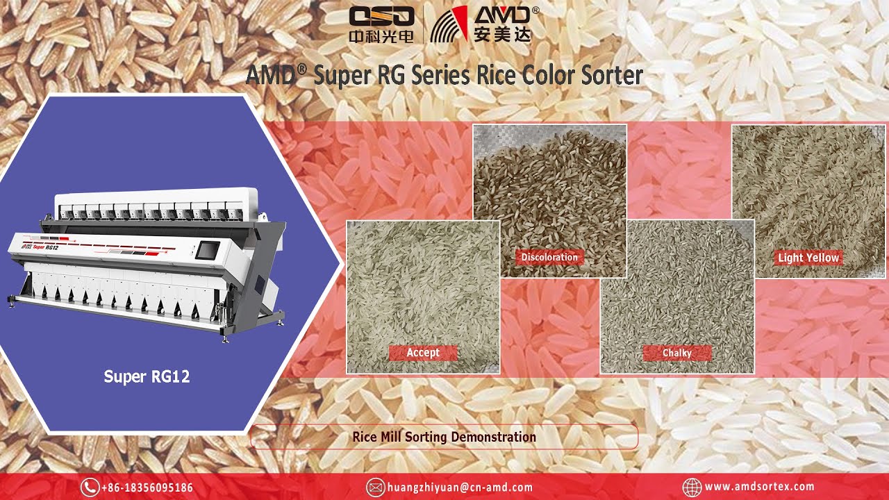AMD® Super RG12 Optical Rice Color Sorter/Sortex Machine Price for ...