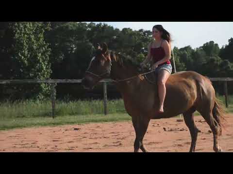 Girl Riding Horse in Shorts