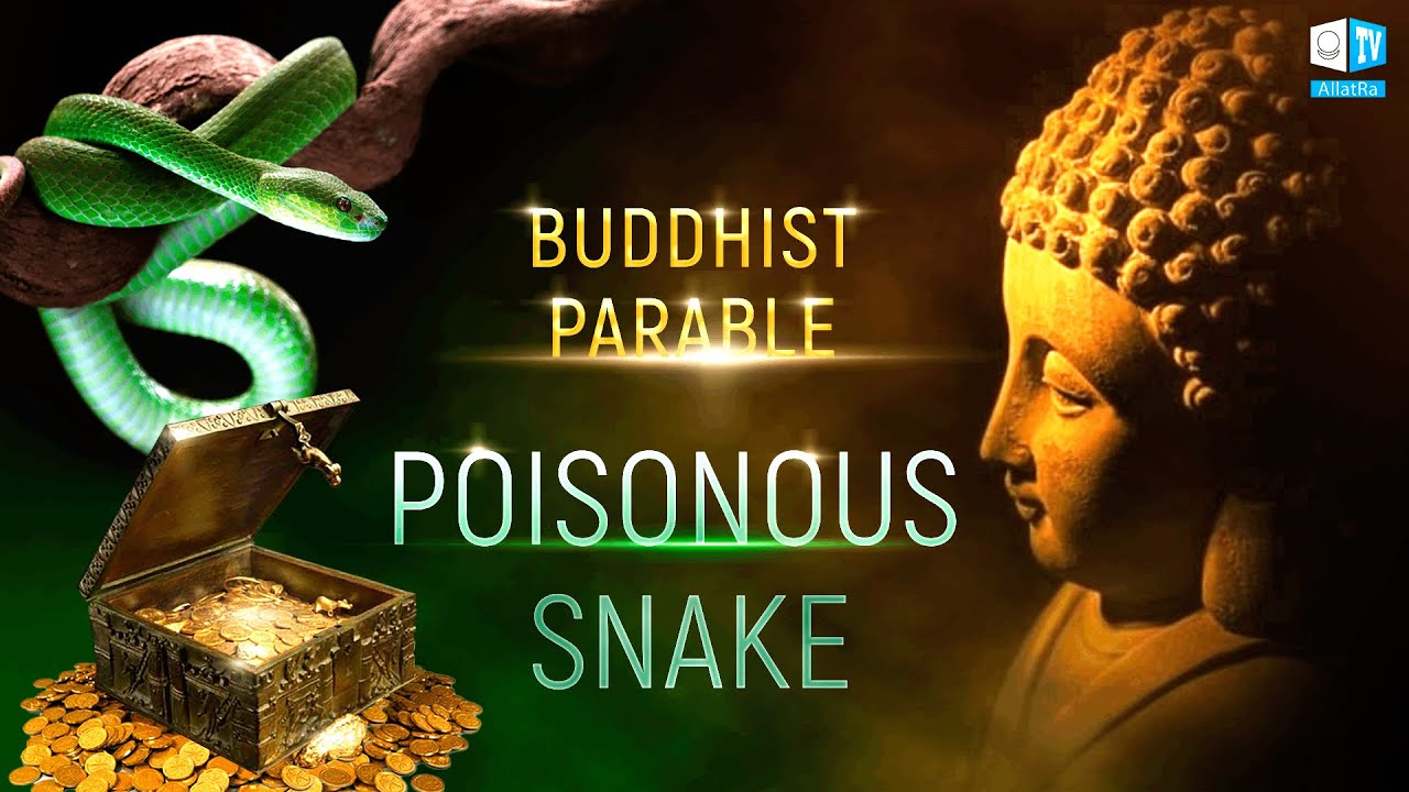 A Poisonous Snake. A Buddhist Parable - YouTube