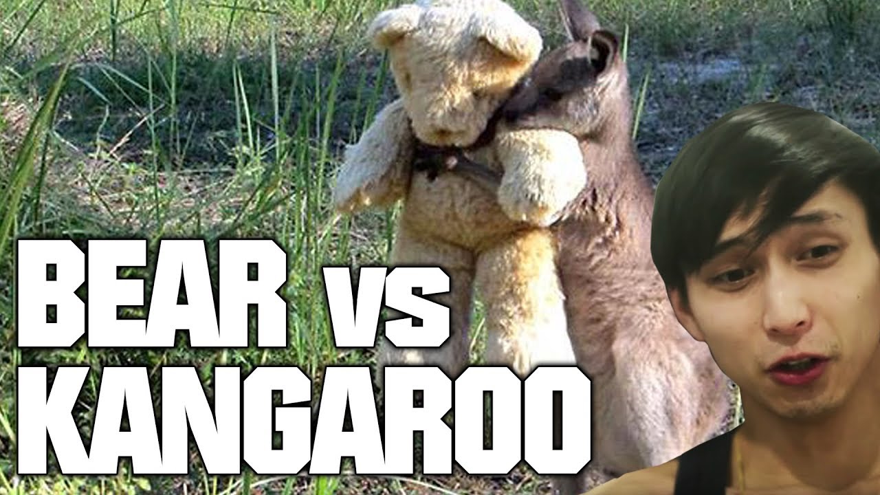 BEAR VS KANGAROO SingSing Dota 2 Highlights - YouTube