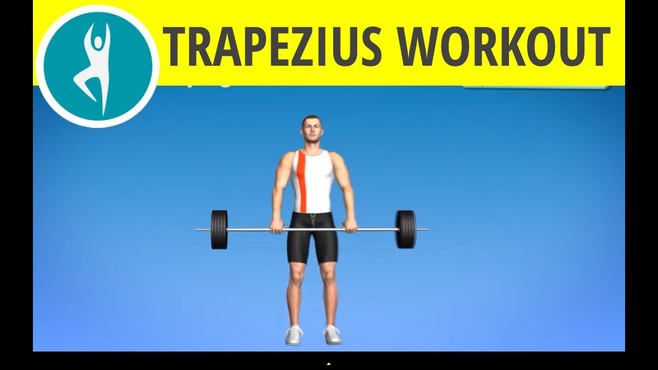 Trapezius Workout Routine at Home with Weights - YouTube