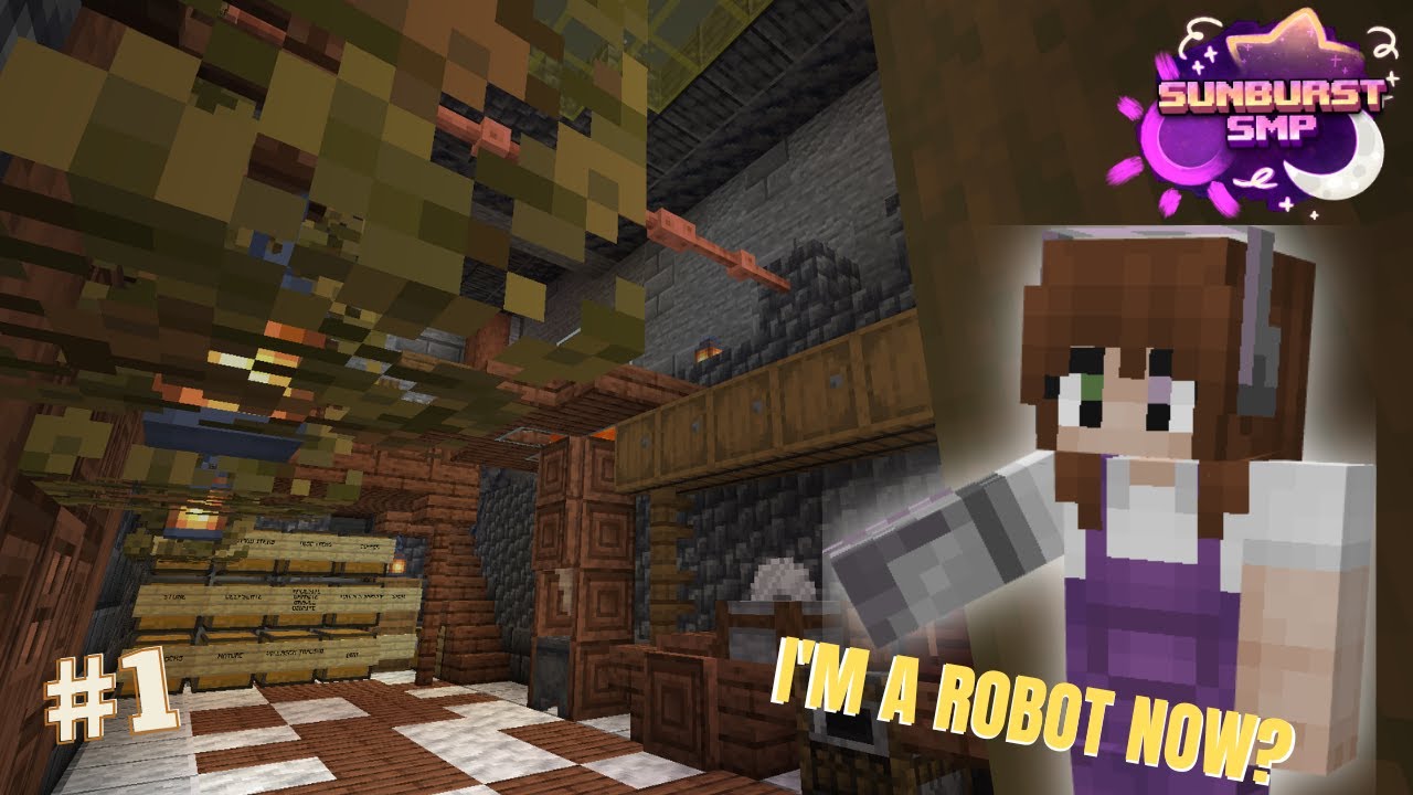 Episode 1 (again) - "Bits and Bots" | Sunburst SMP - YouTube