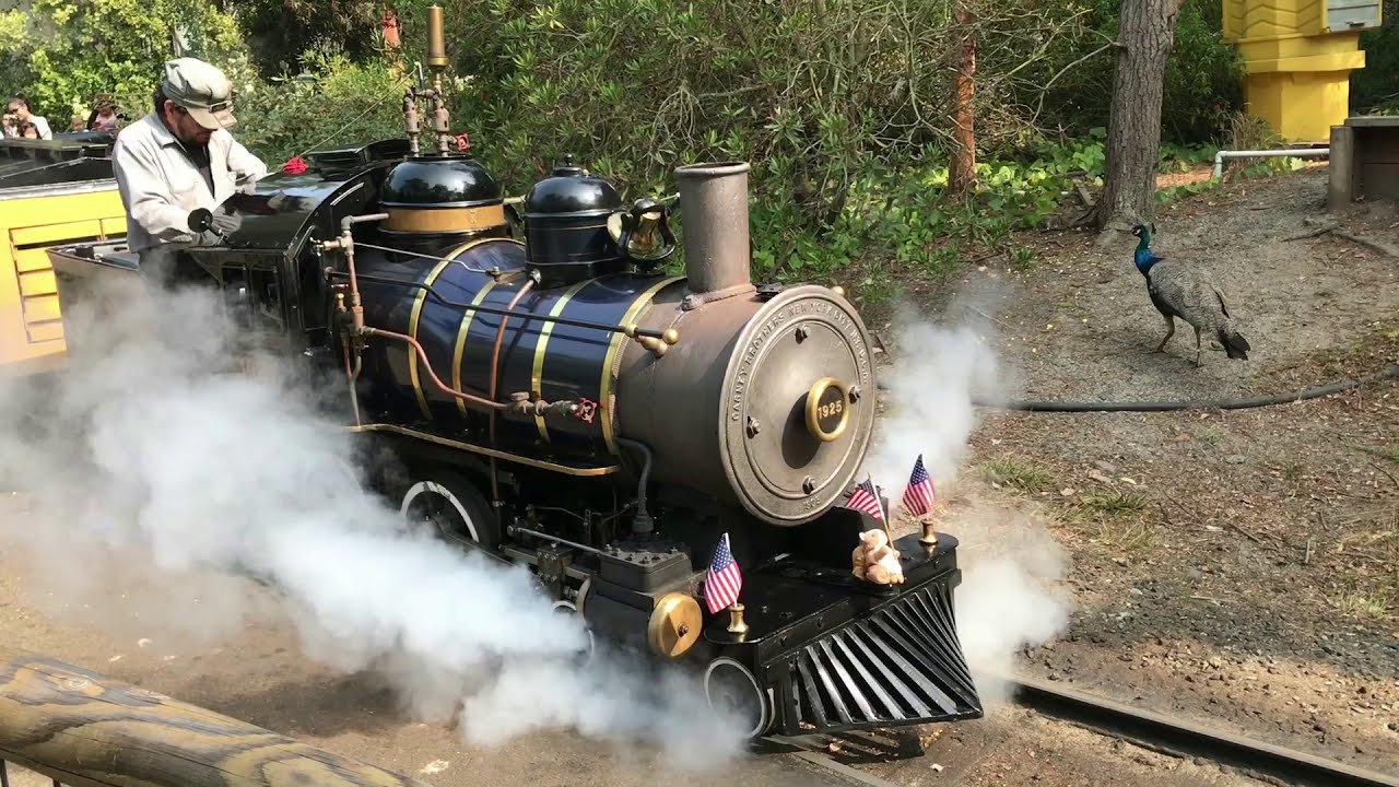 Little Puffer Steam Train - YouTube