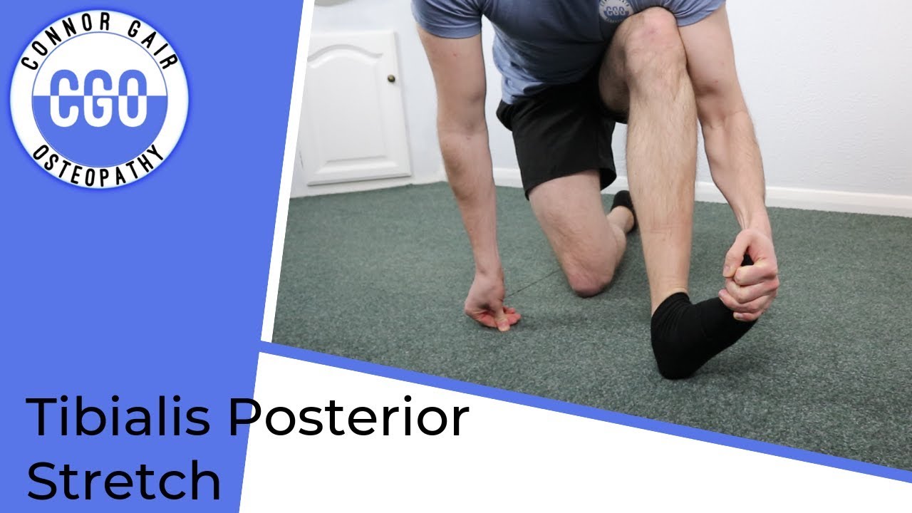 Tibialis Posterior Stretch - Kneeling - YouTube