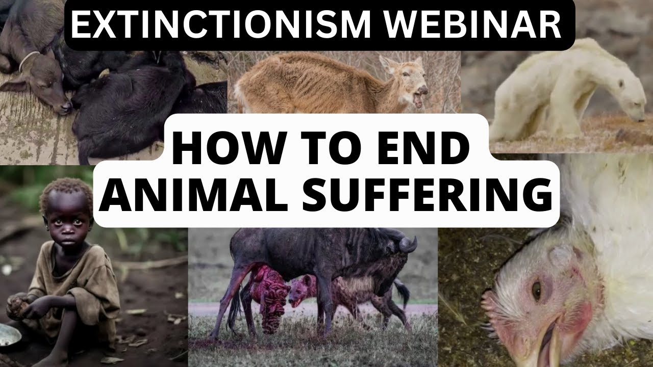 Extinctionism Webinar: How to End Animal Suffering - YouTube