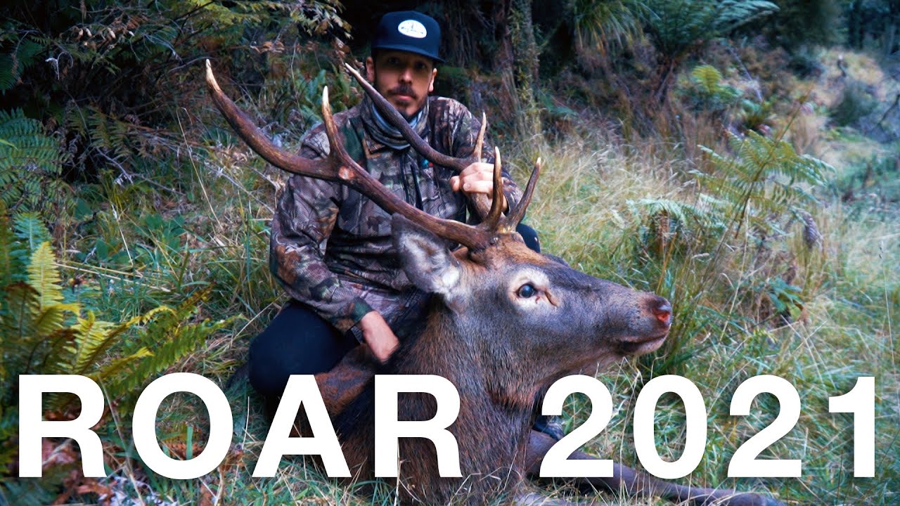 Hunting the 2021 Red Roar | NZ - YouTube