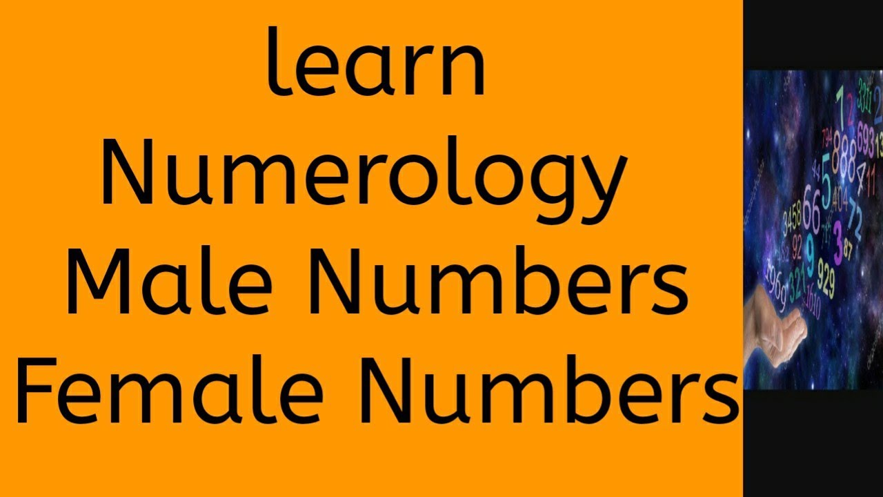 Learn Numerology|Learn Basics of Numerology|Male Numbers and Female ...