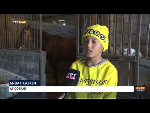 Kazakistan'daki En Genç At Çobanı-TRT AVAZ HABER-10.10.2021