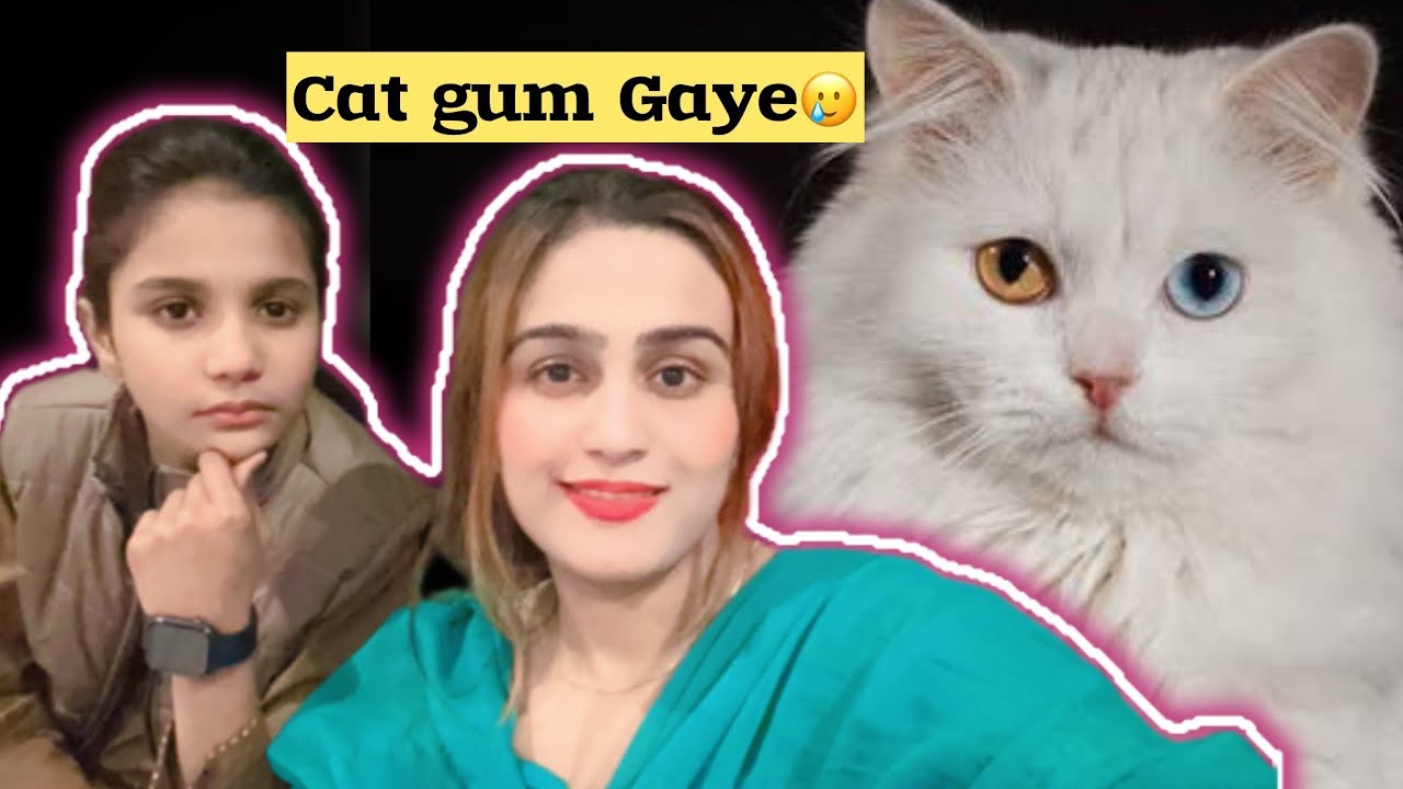 Cat🐈gum ho Gaye🥹🥲/bacho ke mood off☹️/daily vlogs - YouTube