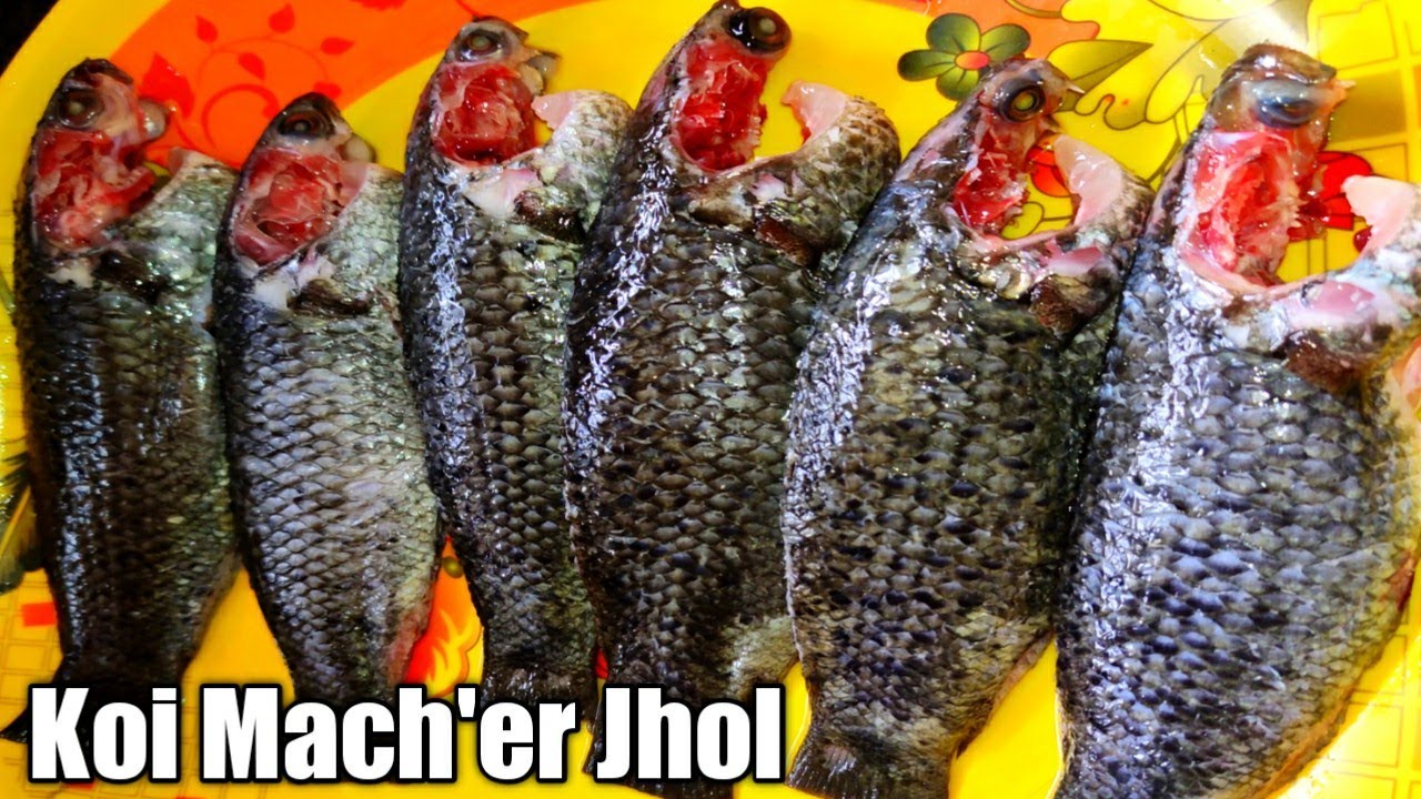 Koi Mach'er Recipe in Bengali | Bengali Fish Curry Recipe | Koi Mach ...