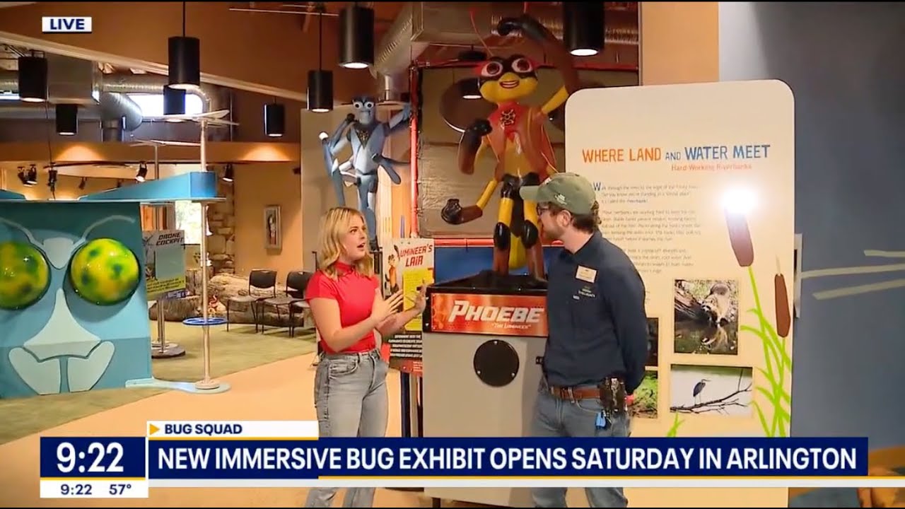 Fox 4 News Paige Ellenberger interviews River Legacy's Naturalist Connor about Bug Squad Exhibit ...