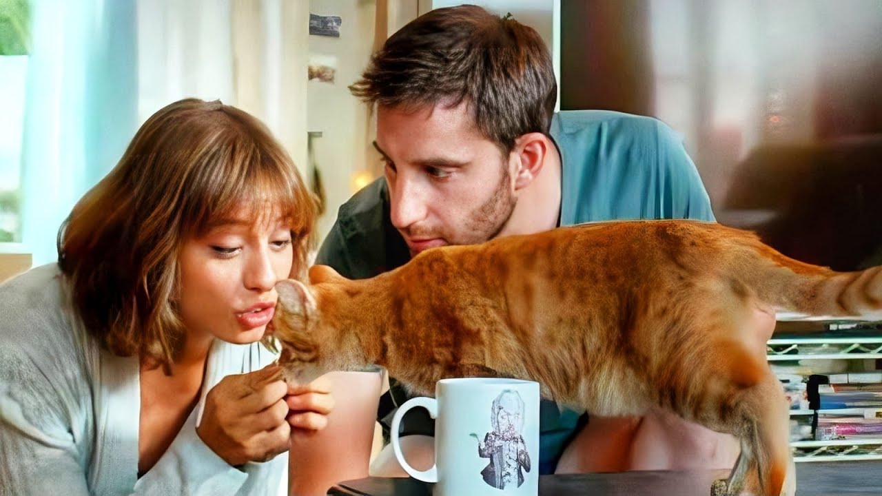 Crazy Couple Decides To Break Up Just Because Of Their Beloved Cat ...