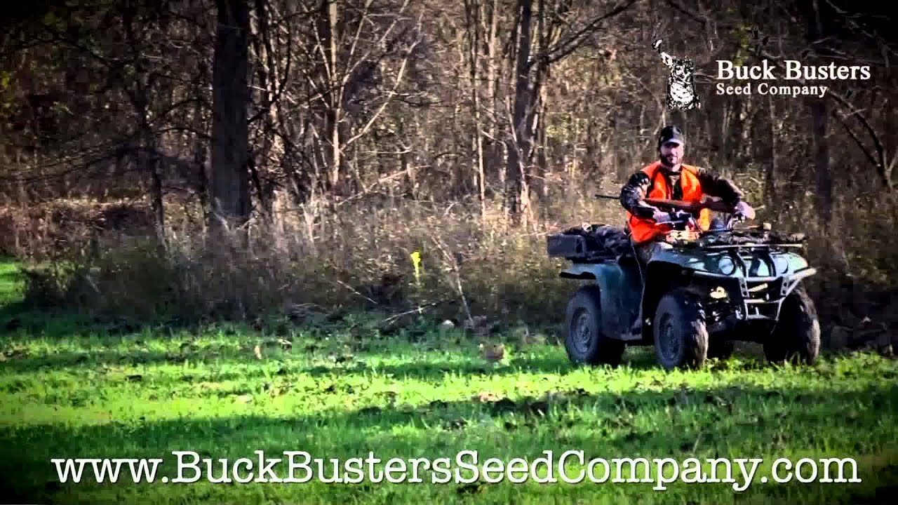 Buck Busters - YouTube