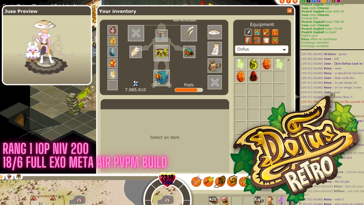 Rang 1 Iop Air 18/6 PvPM 10K ROX TOUR 2!!!!!! META STUFF/PVP SORTS ...