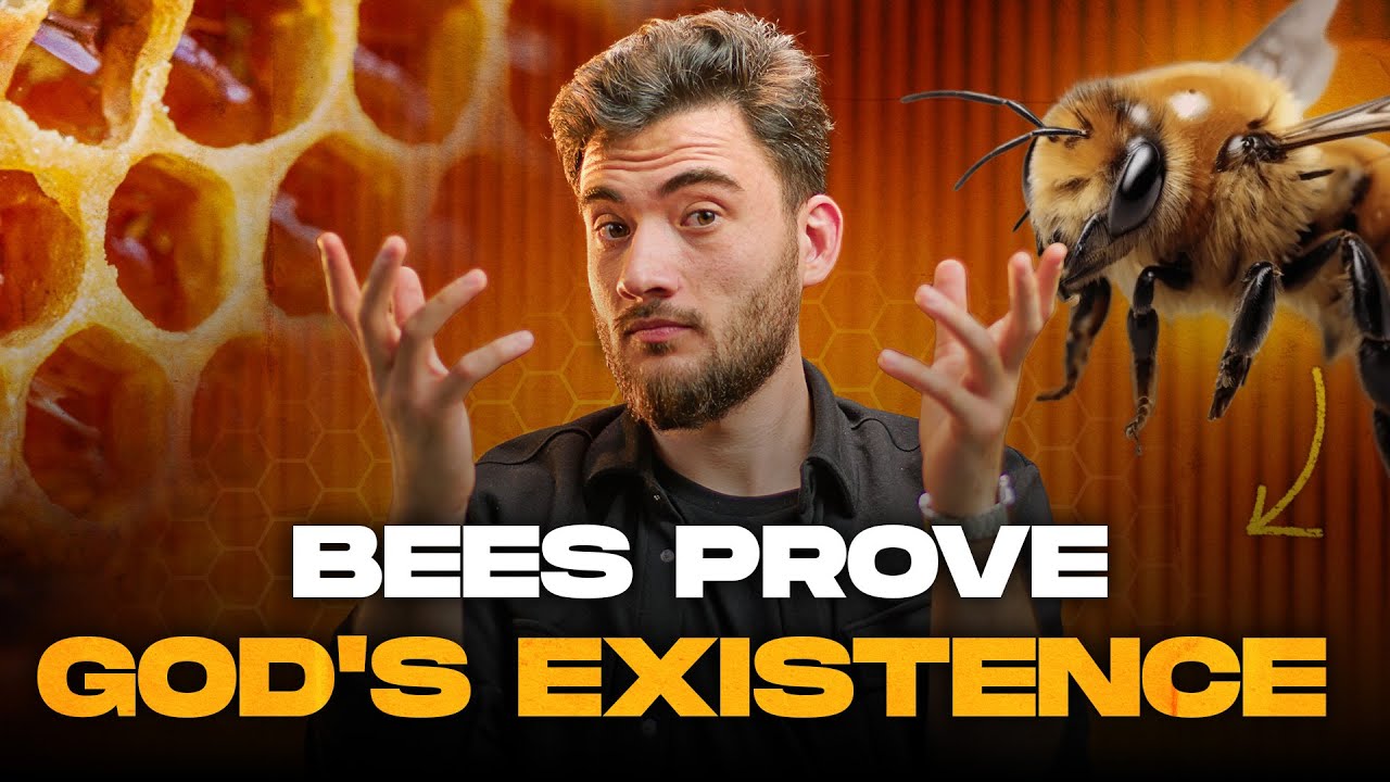 Bees Prove God's Existence - YouTube