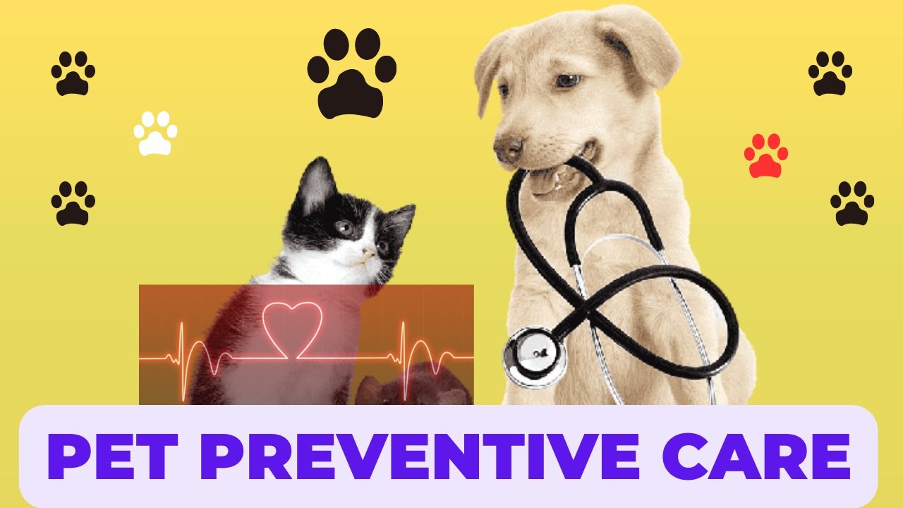 Pet Preventive Care: Pet Health, Wellness, and Responsible Ownership ...