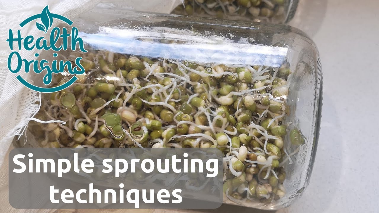 Simple sprouting techniques - YouTube