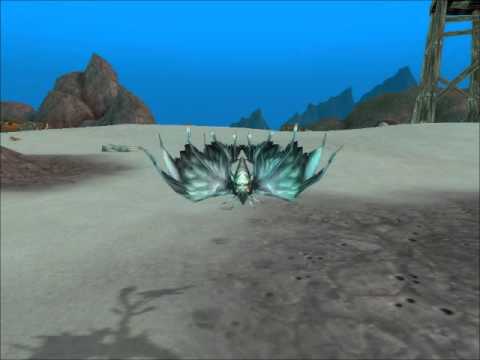 Playing with world of warcraft vanity/companion pet - Silver Dragonhawk ...