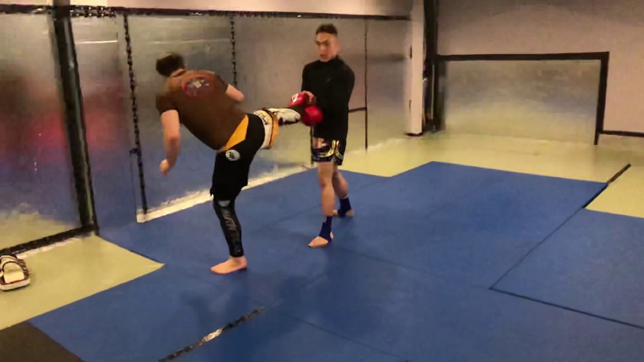 Muay Thai front kick - YouTube